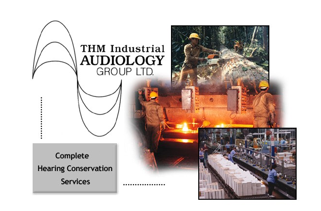 Program Development and Analysis: - THM Industrial Audiology Group Ltd.